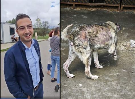 🐾💛💟💗💙🤎 ️ИМА И ПРЕКРАСНИ ХОРА БЛАГОДАРИМ ОТ СЪРЦЕ НА НИКОЛ ЧЕ ПРИБРА ВРЕМЕННО КУЧЕНЦАТА 💜💝♥️ ЩЕ