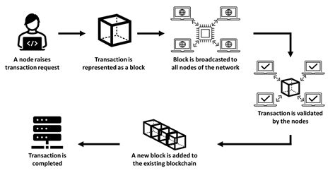 What Are Nodes And Validators In Blockchain And What Is Their Function