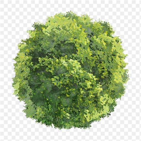 Backyard Ideas Worth Copying In Your Own Outdoor Space In 2025 Trees