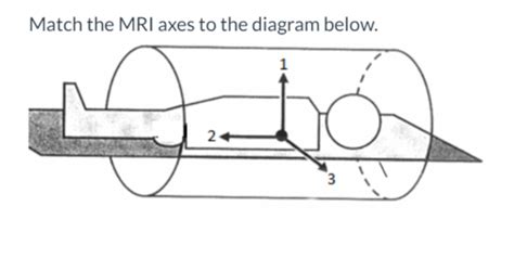 Check AP Flashcards Quizlet
