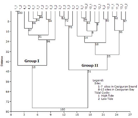 Cluster Diagram Showing Similarities In The Relative Abundance Of Download Scientific Diagram