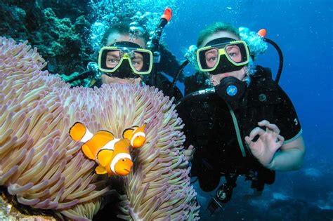 8 Activities To Do In Australia Travelfreak