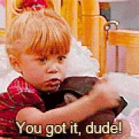 You Got It Dude Michelle Tanner