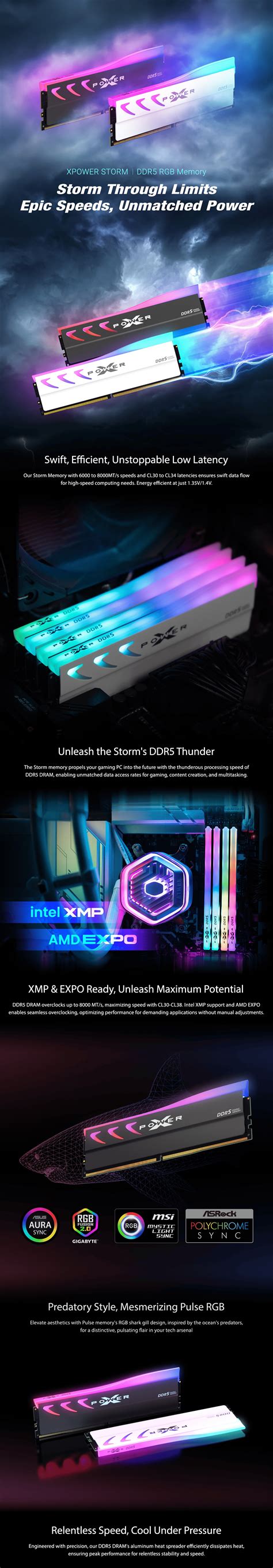 SP Silicon Power XPOWER STORM RGB DDR GB X GB CL MHz Gaming Memory Supports Intel