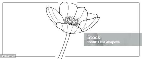 양귀비 꽃이 있는 흑백 꽃 그림 색칠하기 책 표지 월페이퍼 엽서 및 프리젠테이션을 위한 삽화 0명에 대한 스톡 벡터 아트 및