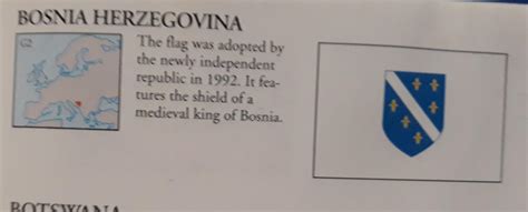 Old Bosnian Flag
