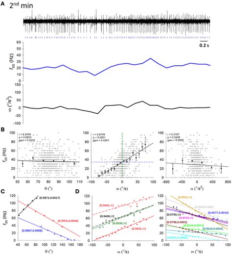 Information Coding In Simple Spikes A A 5 S Recording From A Typical Download Scientific