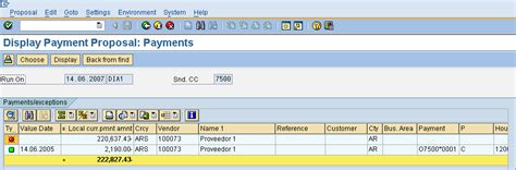 Automatic Payment Program In Sap