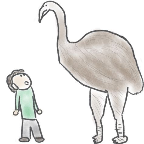 絶滅動物005ジャイアントモア ウェブヒトデ