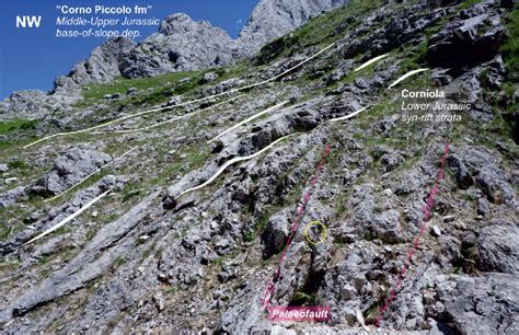 Inherited Early Jurassic Syn Rift Setting Of Normal Faults Purple Download Scientific