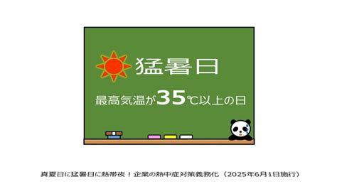 提出する・しない？給与所得の源泉徴収票の税務署提出要否の早見表 複線型キャリア開発空間（仮）