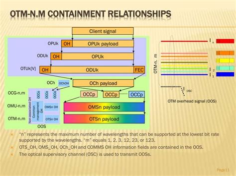 Otn For Beginners Pptx Computer Networking Computing