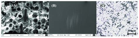 A Sem Micrograph Of The Fracture Cross Section B Sem Image Of The