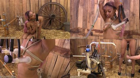 HuCows Thiccy Niccy One Bar Hucow XXX P HEVC X PRT XvX Intporn Forums