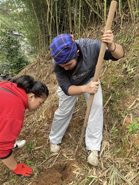 slu csd participates in tree planting activity saint louis university