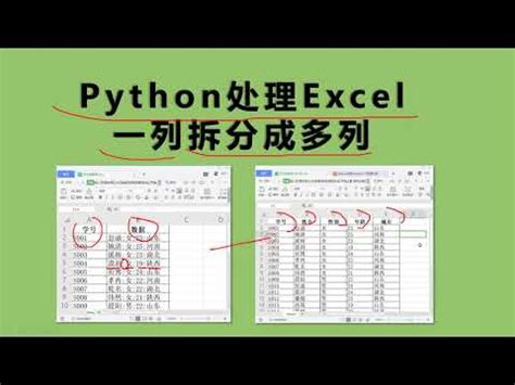 Pandas 教程 Python处理Excel一列变多列 YouTube