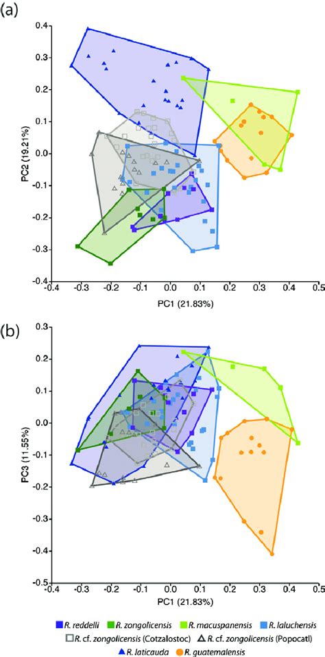 Results Of Principal Component Analysis PCA Of Overall Body Shape Download Scientific Diagram