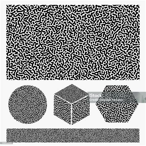 확산 반응 패턴의 집합 흑백 유기 모양 라인 패턴 육각형 원 정사각형 직사각형 추상 적인 배경 그림입니다 벡터 그림입니다 흰색