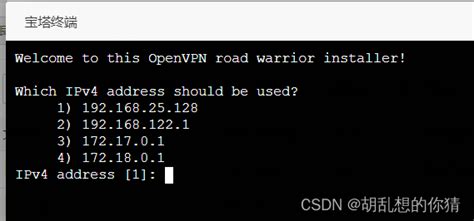 如何使用openvpn搭建局域安全网 如何使用openpn csdn博客