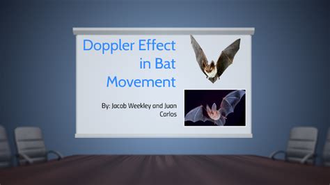 Doppler Effect In Bat Movement By Juan Gaudiano On Prezi