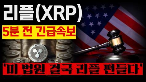 리플 그래 이제라도 좀 바로잡자 Youtube