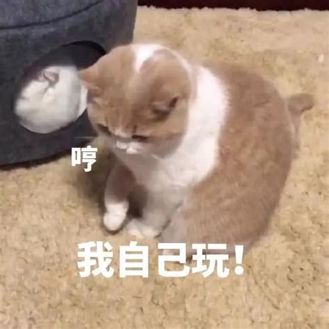 蜜桃表情包出来挨打