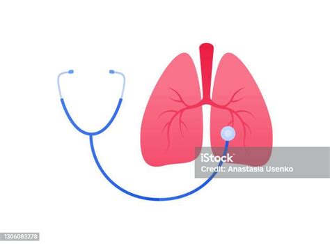 인간의 장기 수집 벡터 플랫 현대 해부학 아이콘 색상 일러스트레이션 흰색 배경에 고립 된 의사 청진기와 빨간 폐 건강 관리 의료 표지판 폐학을 위한 디자인 요소 감기와