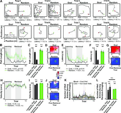 Improvement In Behavioral Performance Across Trials A Quantified Download Scientific Diagram