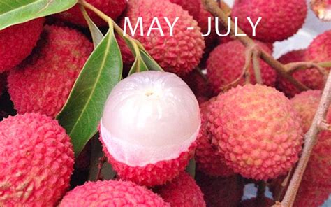 Vietnamese Lychee Season Everything You Need To Know