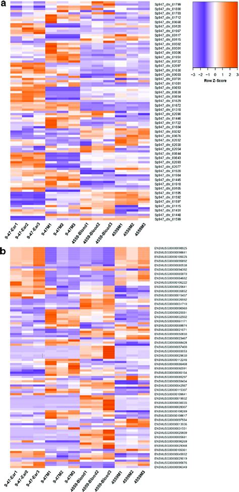 Heat Maps Displaying Differentially Expressed Genes From The Dual