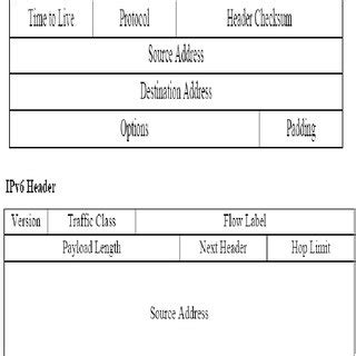 IPv And IPv Header Fields Download Scientific Diagram