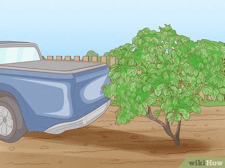 3 Ways To Remove Bushes WikiHow
