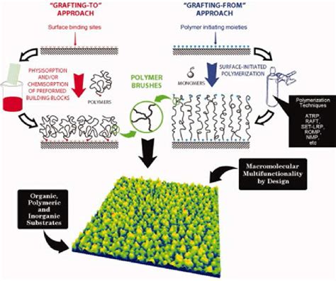 Conceptual Illustration Of The Chemical Strategies Grafting To And Download Scientific Diagram