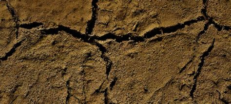 Vintage Textured Stone Suface Premium Photo