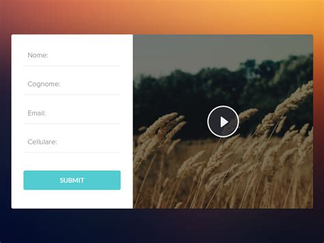 Simple Modal Form By Ionut Zamfir On Dribbble
