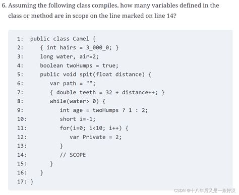 Ocp Java17 Se Developers 复习题01 Csdn博客