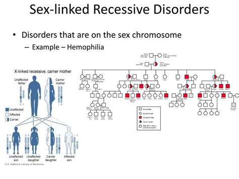 Ppt Patterns Of Inheritance Powerpoint Presentation Free Download