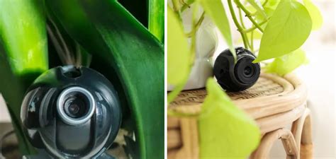 How To Hide A Security Camera In Plain Sight 10 Easy Steps