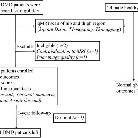 Flow Chart Of Patient Assessments And Dropouts In This Longitudinal Download Scientific Diagram