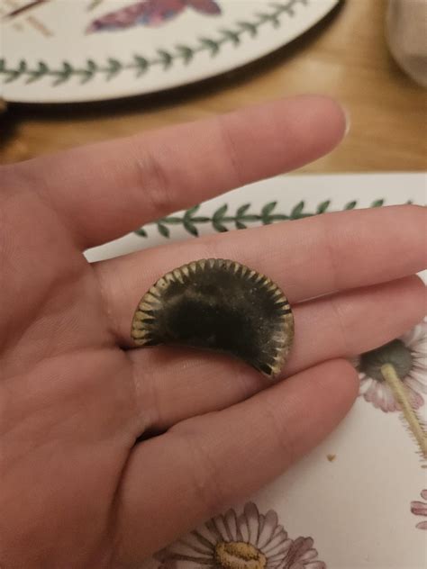 Found This On A Beach In Wales Uk R Whatsthisrock