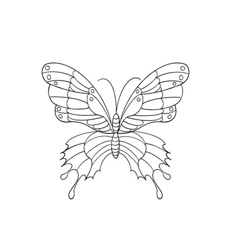 蝴蝶画法简笔画图片立体（流行17张） 简笔画图片大全