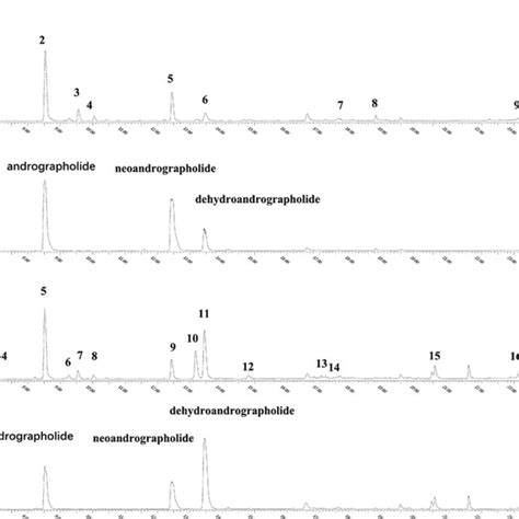 The Total Ion Chromatogram Tic Of Ap Extract By Uplc Esi Qtof Msms