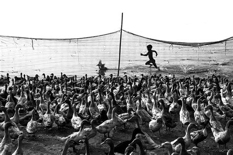 Freedom Photograph By Farhan Labib Fine Art America