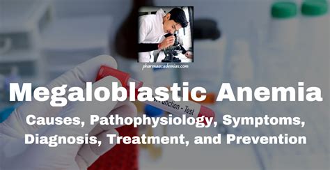 Megaloblastic Anemia Pathophysiology Pharmaacademias