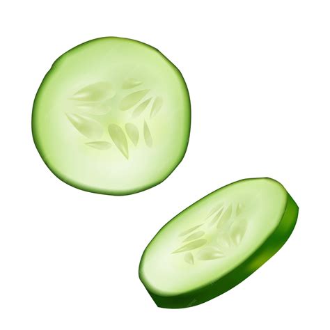 Premium Vector Vector Slice Of Fresh Cucumber Isolated On A Background
