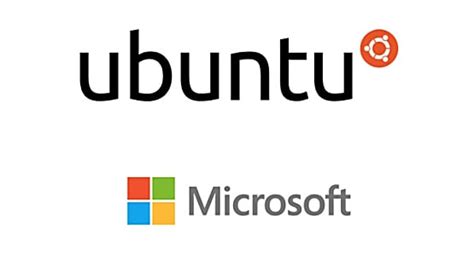 Ubuntu WSL Ubuntu