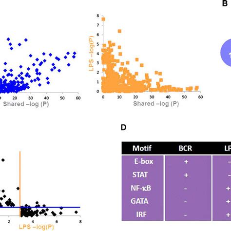 Tf Motif Enrichment At The Promoter Regions Tf Motif Enrichment In