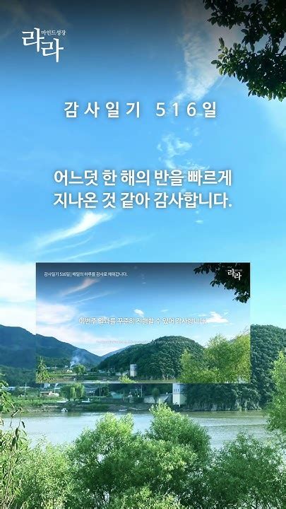 감사일기 516일 먼저 예측하고 판단하지 않고 지금에 온전히 반응할 수 있어 감사합니다감사일기 매일 감사로시작하는365 감사영상 감사 나와의약속 자기사랑