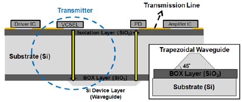 The Sketch Of Soi Based Intra Chip Optical Interconnect Module With A Download Scientific