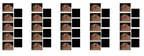 explain of scale space with octave download scientific diagram